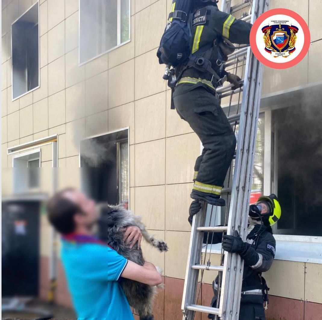 Спасатели вызволили из горящего здания в Сертолово четырех человек и